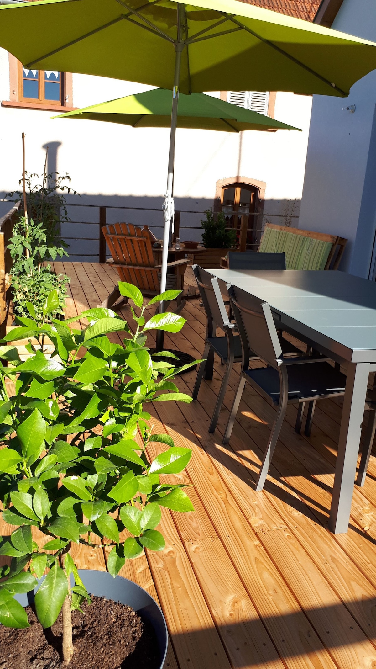 Au tilleul - Maisons à louer à Menchhoffen, Grand Est, France - Airbnb