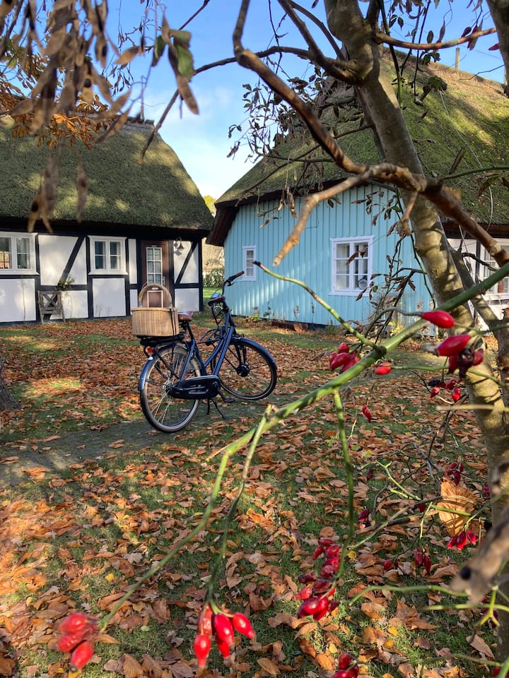 "Kapitänsstube" Für 1-7 In Der Alten Fischerei - Barth