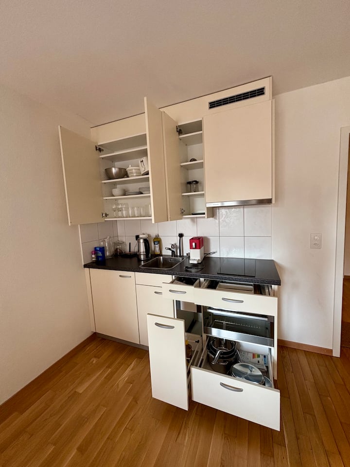 Simple & Comfy Studio On Gartenstrasse Ii - Bern