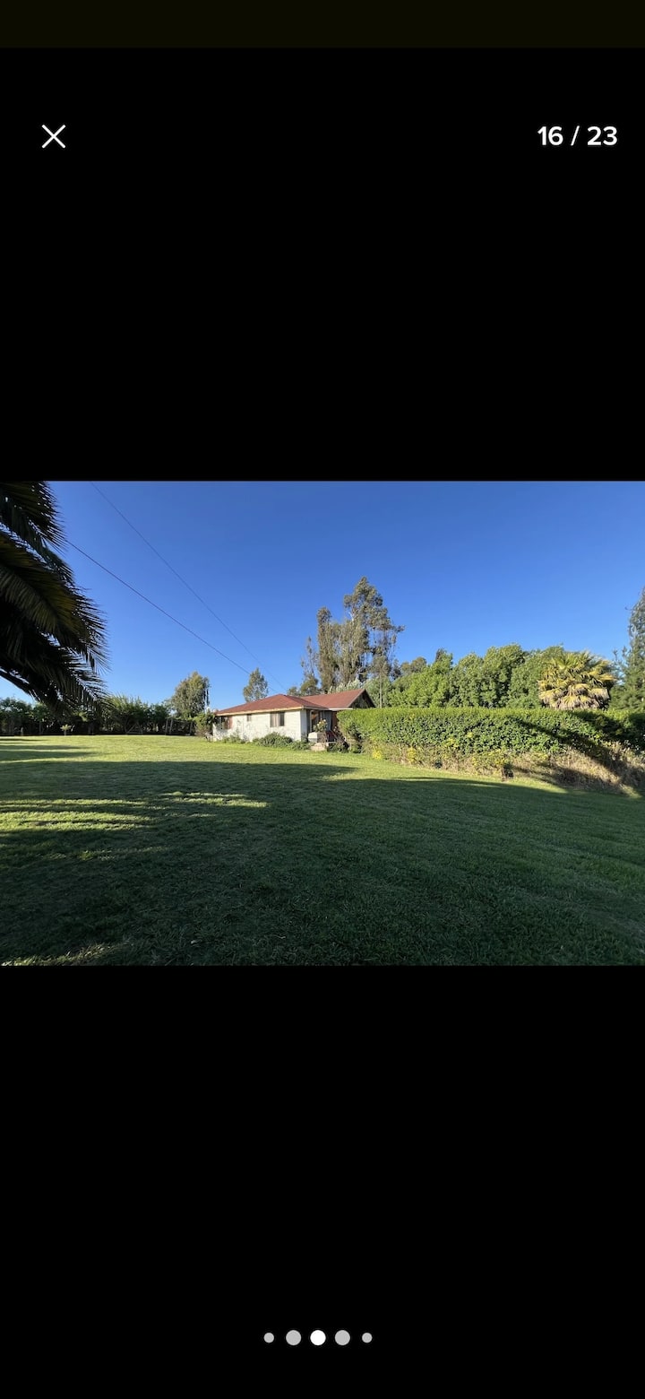 "Entre áRboles Y Pájaros" - Melipilla