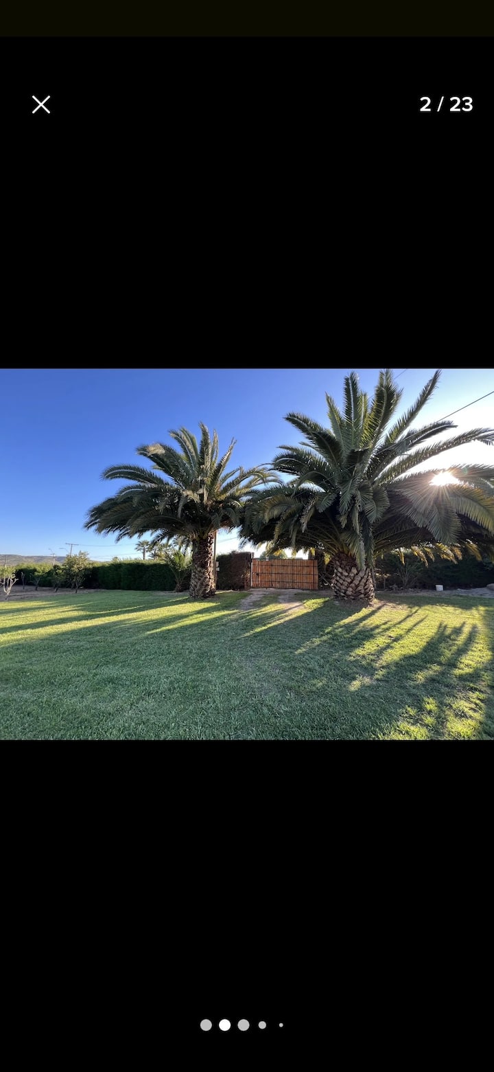 "Entre áRboles Y Pájaros" - Melipilla