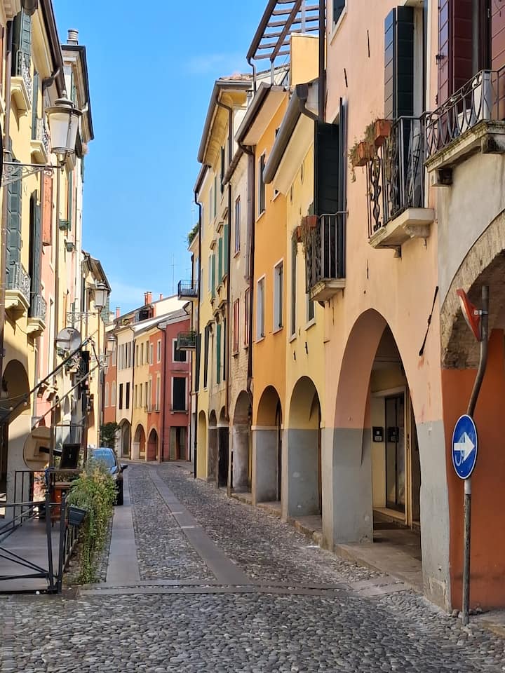 Savonarola Family Residence - Padua