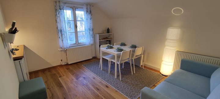 70 M² Ferienwohnung Für Tierversorger Und Mithilfe - Autriche