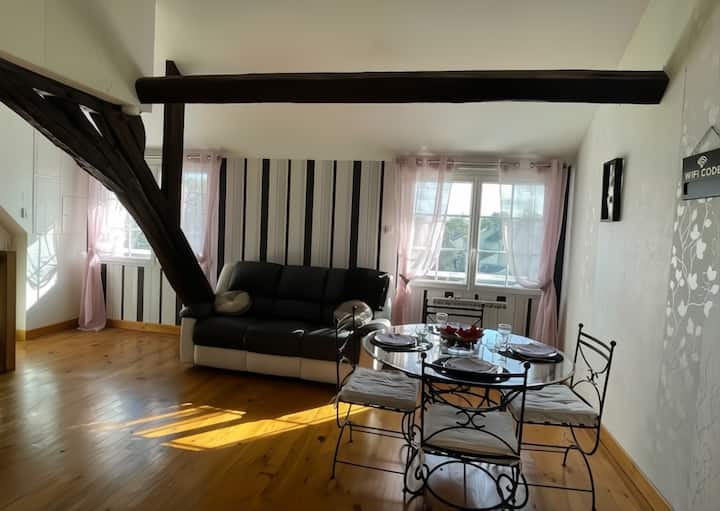 Appartement Issoudun Avec Wifi Et Parking Gratuit - Issoudun