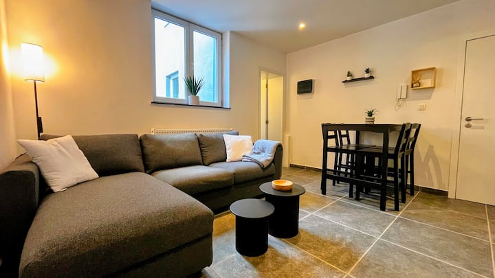 Découverte De La Cité Ardente - Moderne Et Calme - Liège