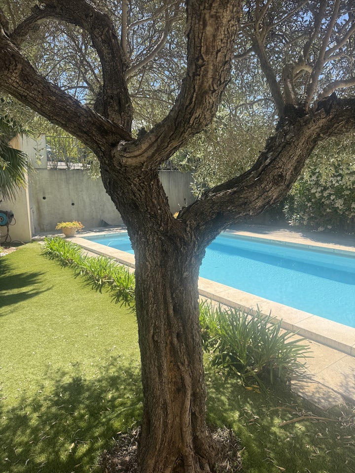 Haus In Saint-tropez, Gassin - Cogolin