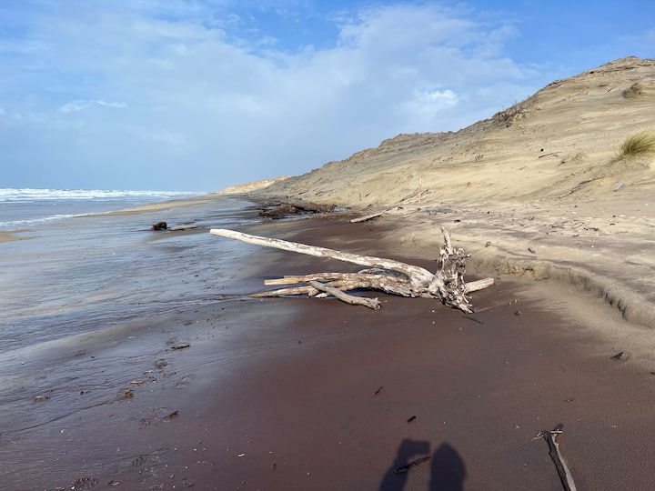 Bungalow Typique Monta Bord De Mer Chm Naturiste - Vendays-Montalivet