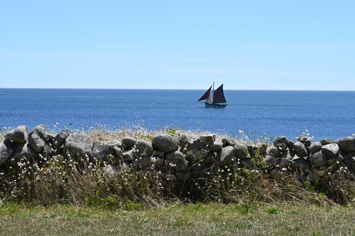 Gîte En Vrai Bord De Mer Et Papattes Dans L'eau. - Finistère