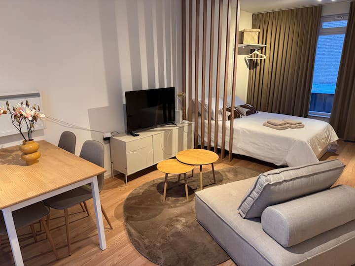 Wl | Cozy Studio For 1 Person In City Center - Eindhoven