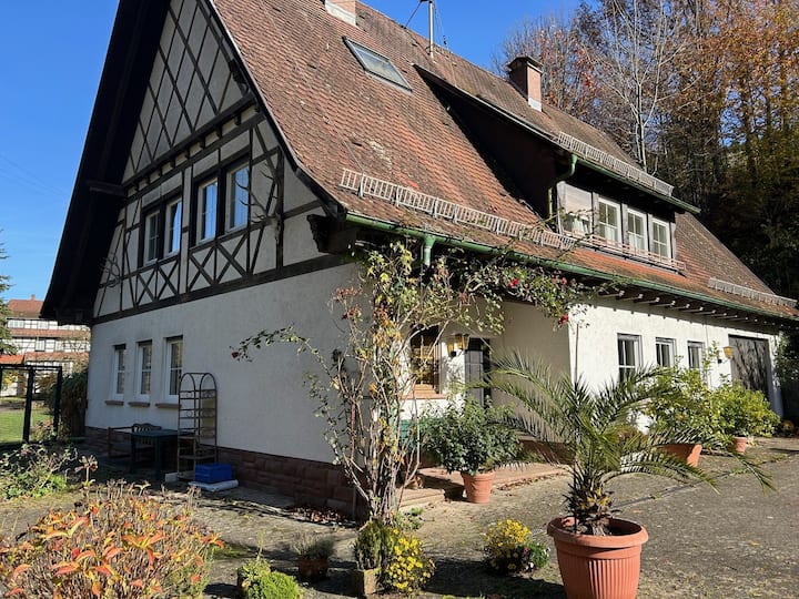 Großzügige Og- Wohnung Am Natur-bade-see - Oberkirch