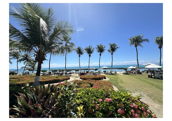 Flat Fm 41 Beira Mar Na Praia Dos Carneiros - Praia dos Carneiros