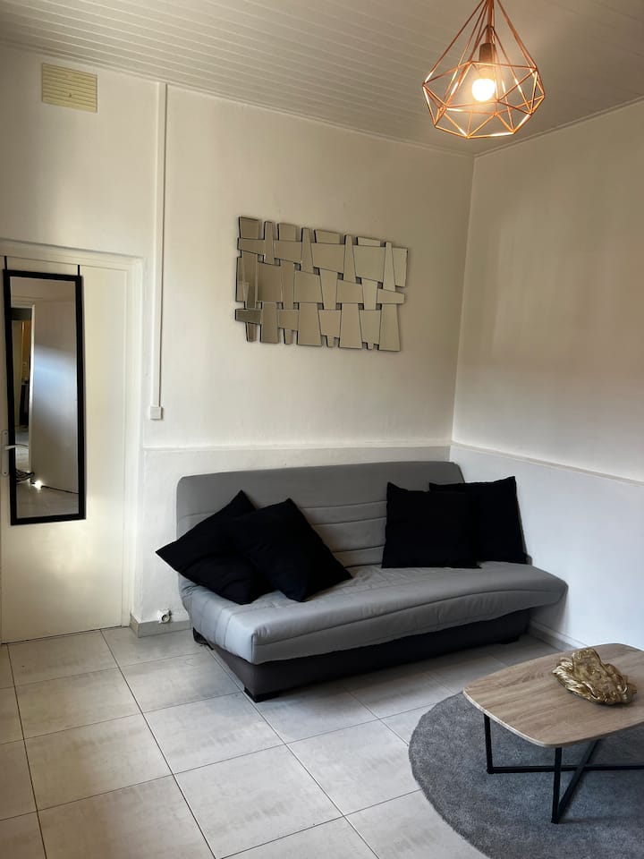Grand Appartement Avec Cour Privée - Saint-Martin-d'Hères