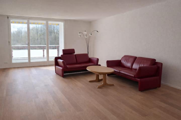 Moderne 2.5-zi-wohnung Mit Balkon & Garage Am Wald - Aarau