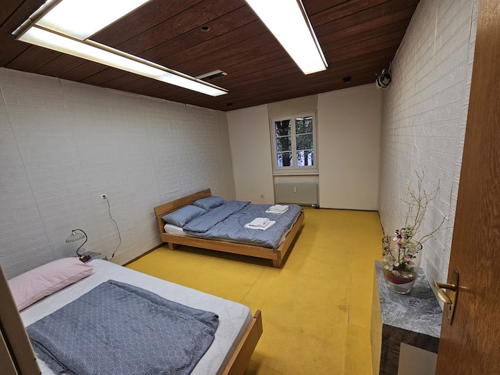 Private Room-venus-shared Kitchen And Bath In Chur - Chur