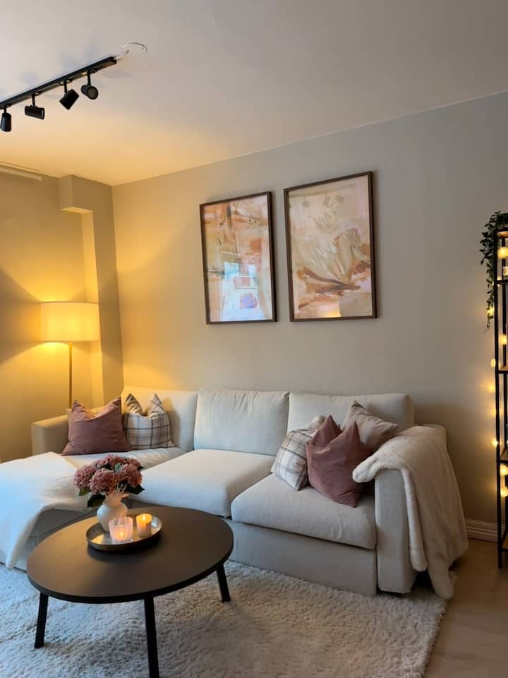 Sentral, Romslig Og Kjempefin Leilighet - Oslo