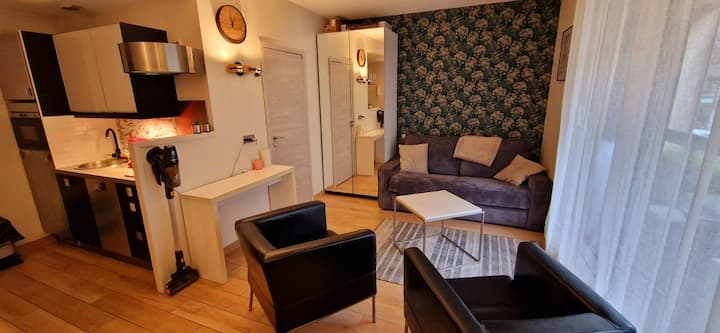 Chez Eléa - Au Coeur D'annecy Et à Deux Pas Du Lac - Annecy