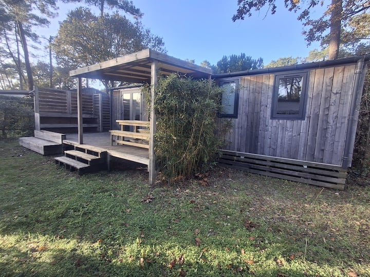 Mobil Home 6 Pers Camping 5 éToiles "La Pinède" - La Palmyre