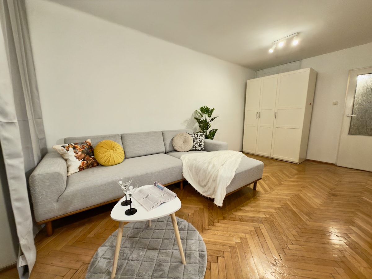 Bedroom, living room, 40 meters, close to the UN - Flats for Rent in ...