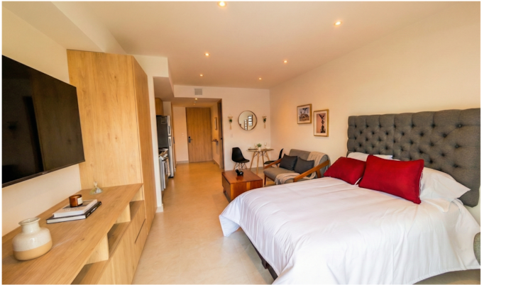 Reforma Spacious Loft: Gym + Workspace - メキシコ