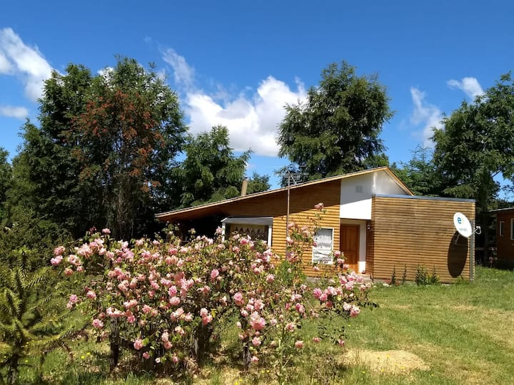 Cabaña Amplia En Parcela - Puyehue