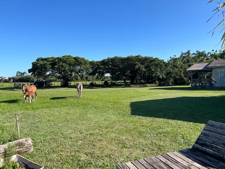 Chácara Com Duas Casas Em Arroio Do Sal - Arroio do Sal