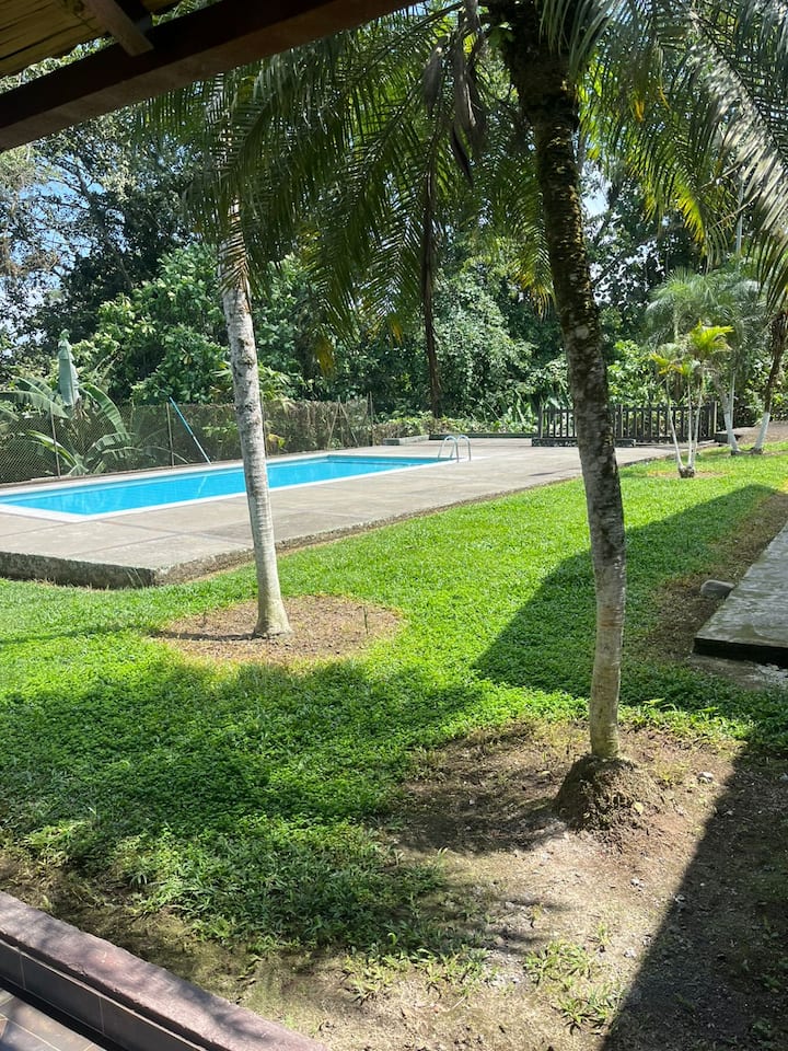 Farm Las Delicias - Ecuador