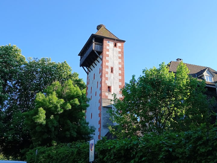 The Old Coach Retreat - Apt. 1 - Rheinfelden