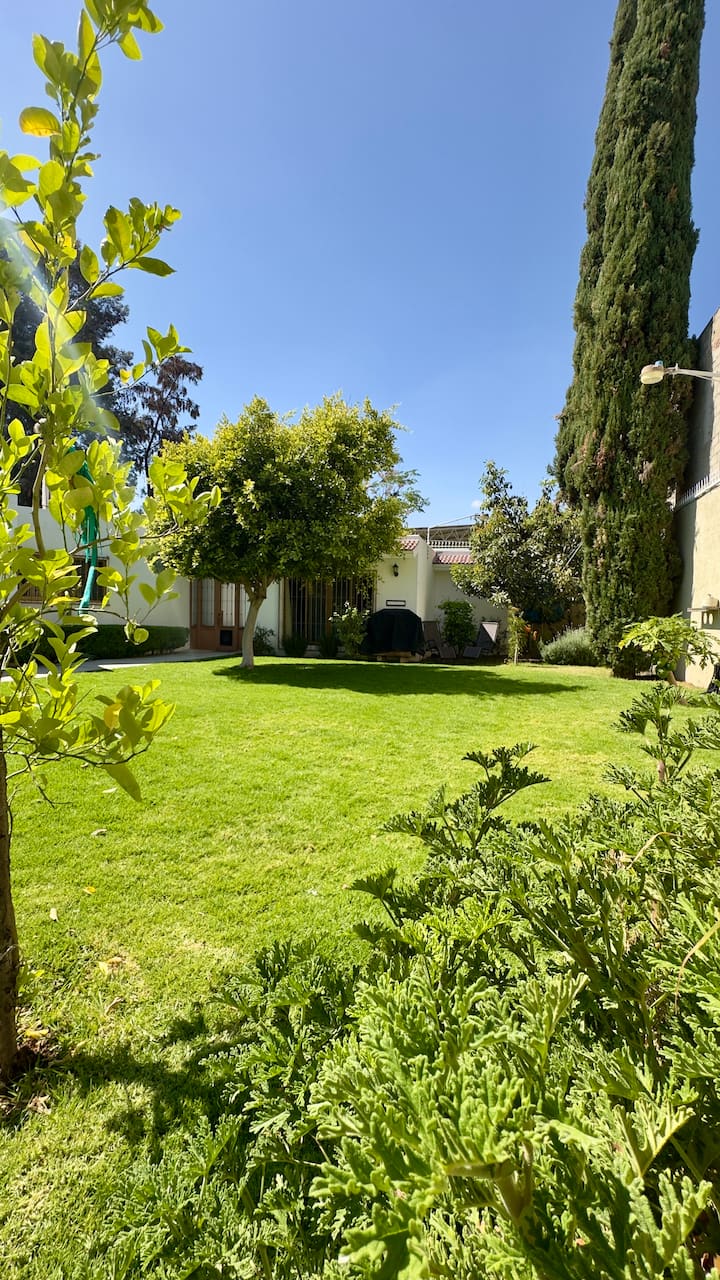 Casa Chi: Espacio, Luz Y Naturaleza. - Lagos de Moreno