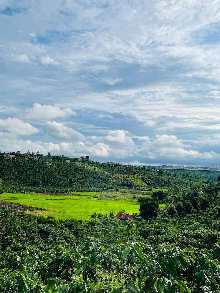 Family Homestay From Hcmc To Highland Culture - tt. Di Linh