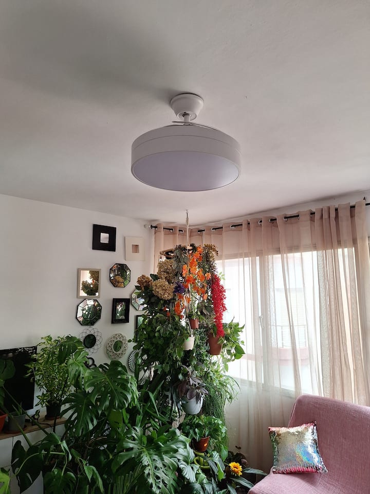 Hogar Coris Gat@ ,Puede Haber Pelo Están Vivos - Barcelone
