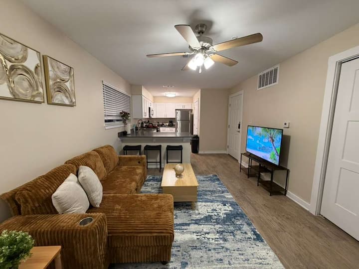 1 Bd/br Luxury Apt Near At&t Stadium - Grand Prairie, TX