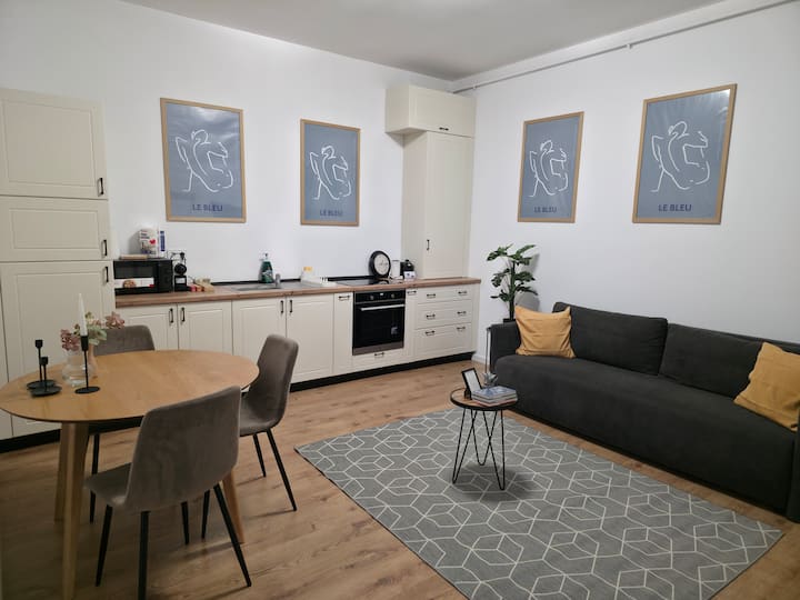 Historical City Center Urban Apartments - Unit A - Târgu Mureș