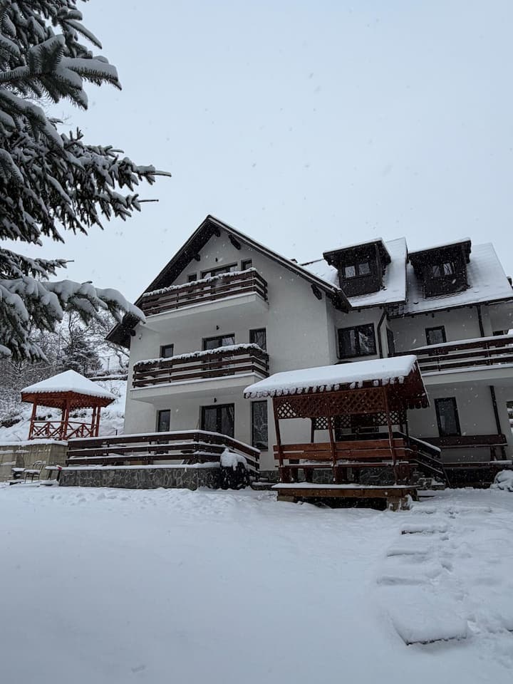 Vila Cervinia - Bușteni