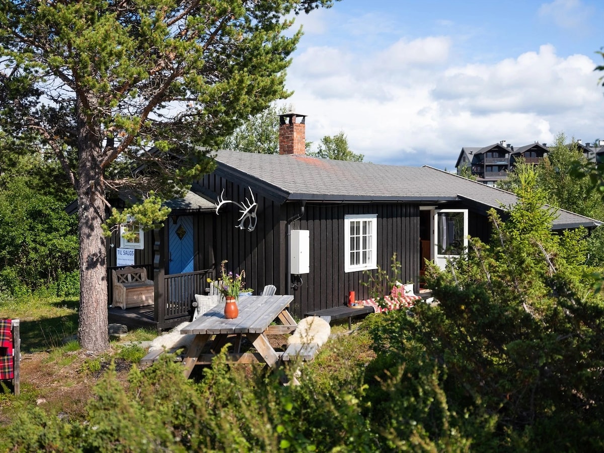 Mountain cabin in Geilo only 500 metres from the slopes - Cabins for ...