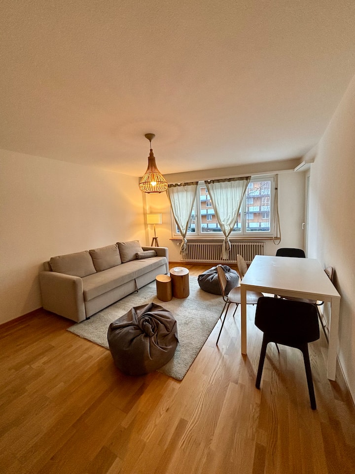Cozy Living In Zurich Made Easy Ii - Canton of Zürich