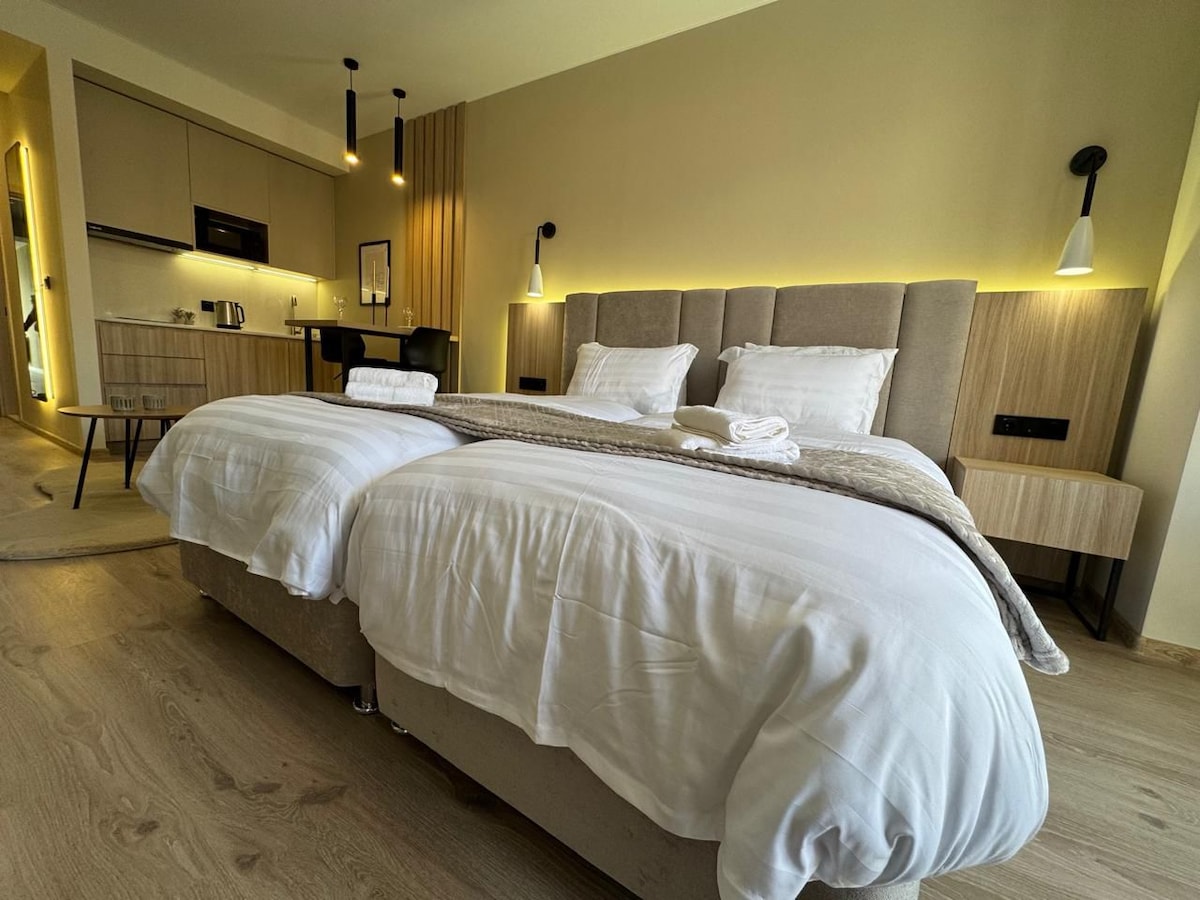 Altimera Collection - Studio F3-103 Ski-In/Ski-Out - Apartments for ...