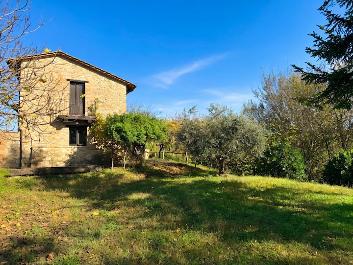 Casale San Pietro - Città Di Castello - Montone - Città di Castello
