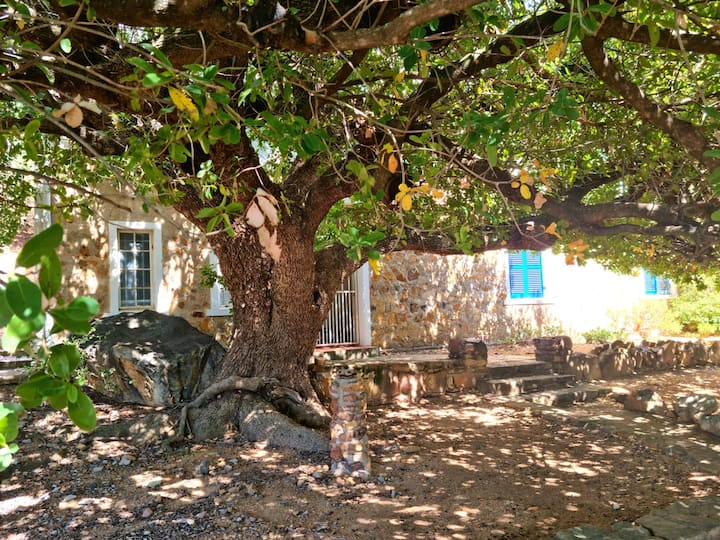 Soulful 'Farmhouse' Right By The Sea - Cape Town