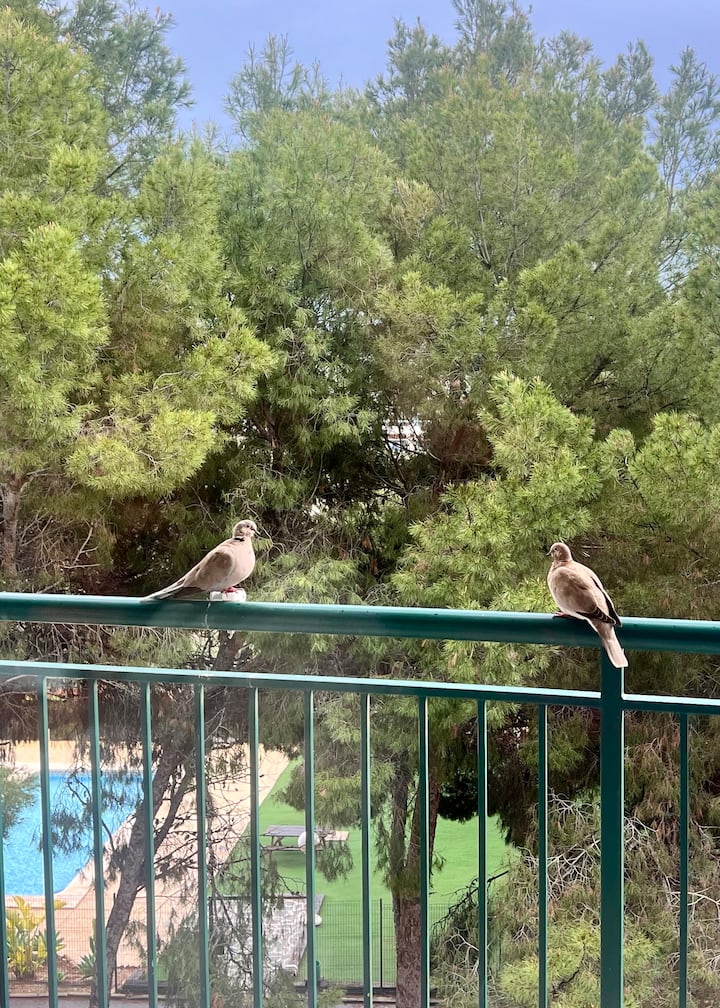 Arabi Park – Oasis De Tranquillité - Alfaz del Pi