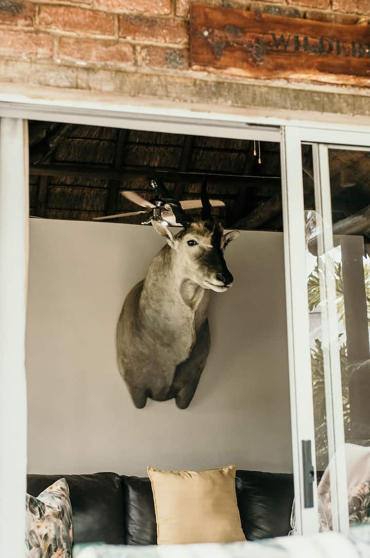 Wildebees - Modimolle