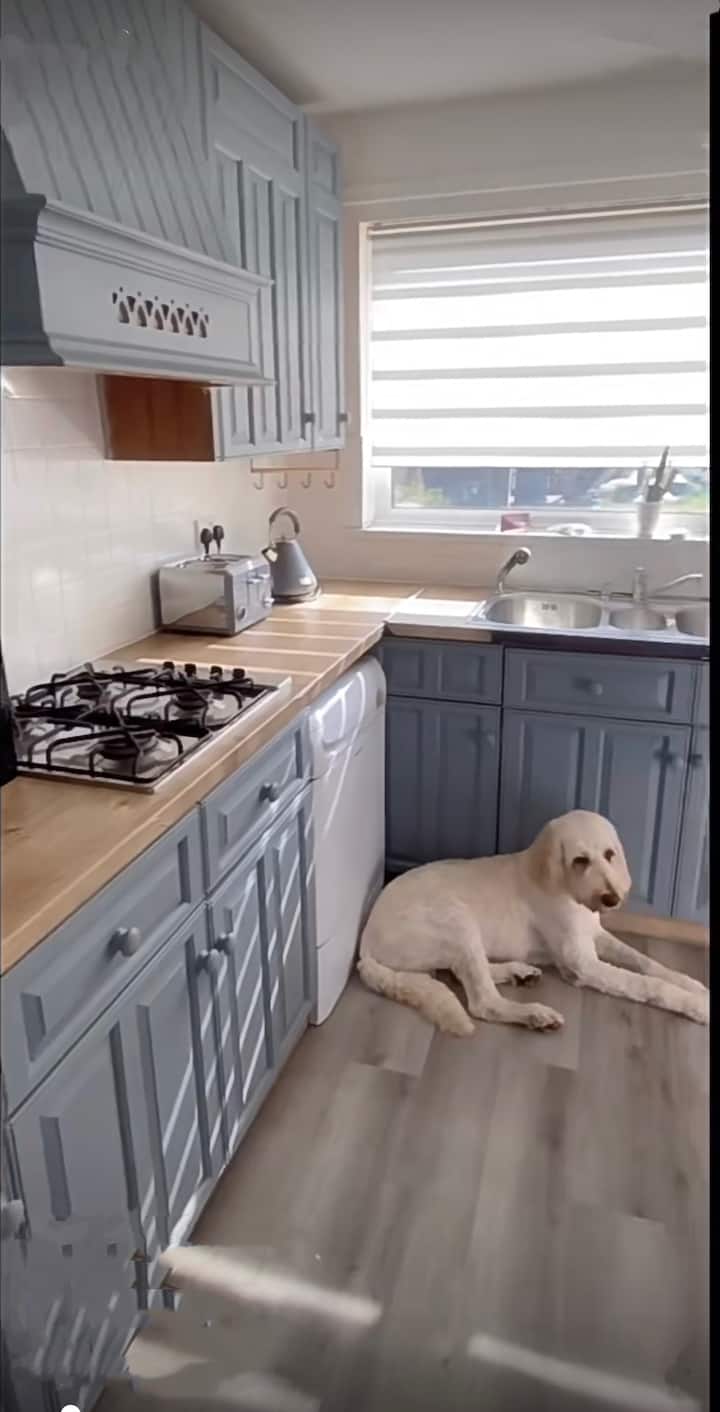 Lovely Double Bedroom Near Bus Stop To City Centre - Durham