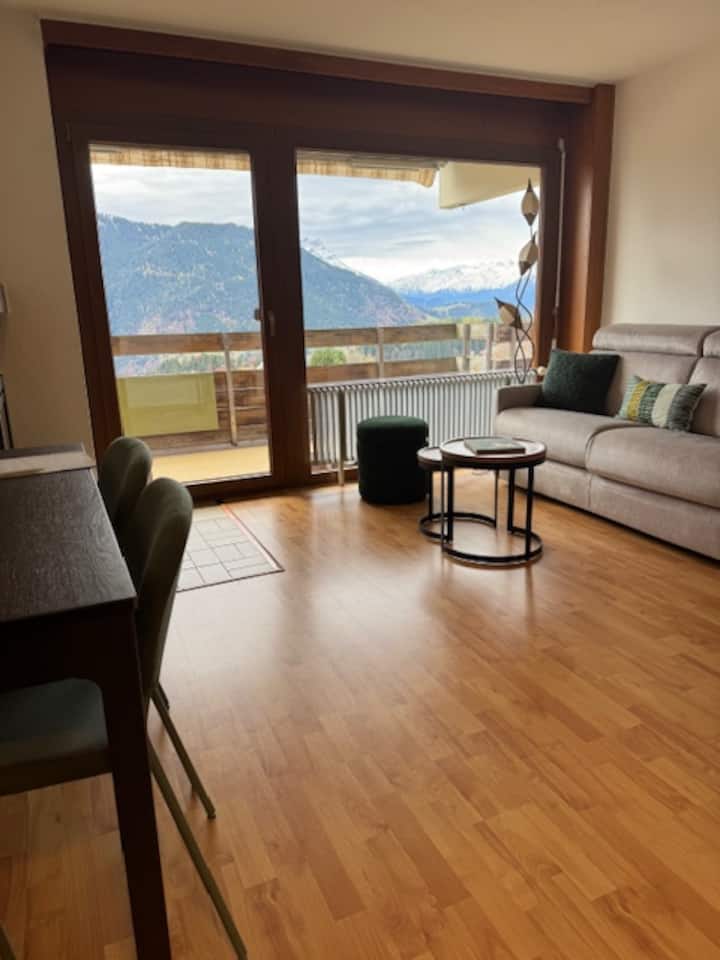 Roc D'orsay D27 - Leysin