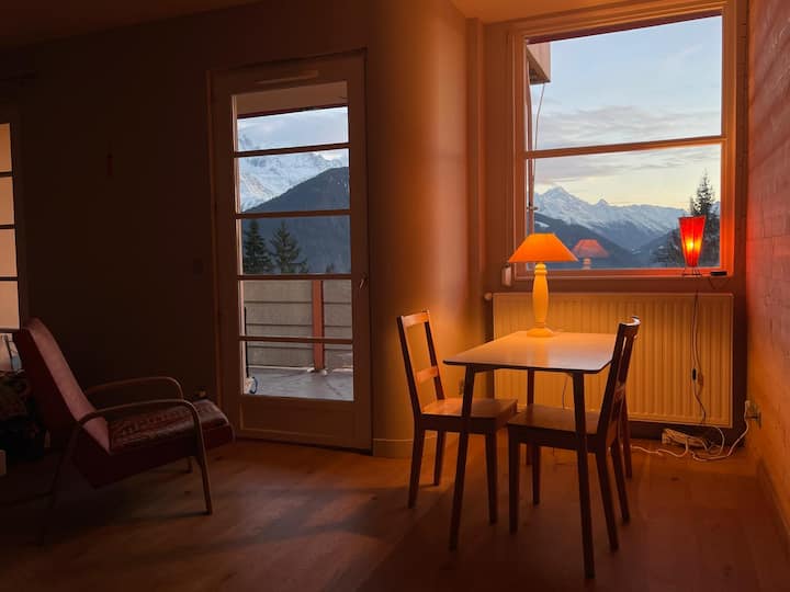 2+1appartement Avec Vue Sur Le Mont Blanc - Passy
