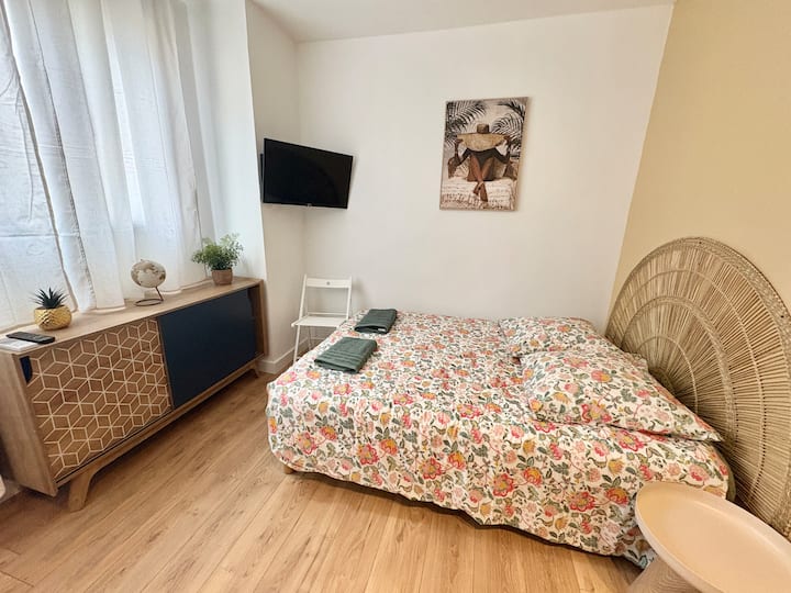 Coudert I Hypercentre & Climatisé - Castres