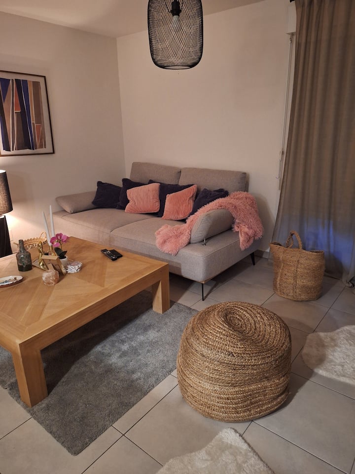 Appartement 2p - Hœnheim