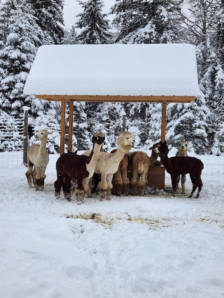 Chalet De Florent |Chez Marguerite Gite à La Ferme - Quebec