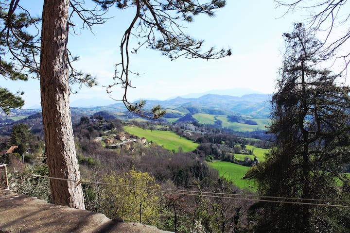 Monolocale Lady - Urbino