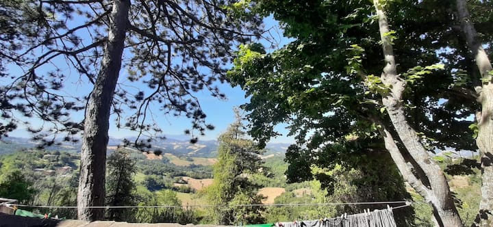 Monolocale Lady - Urbino