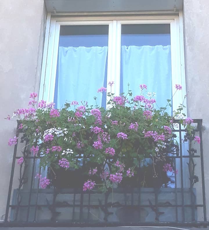 Grand Appartement 3 Chambres - Baccarat