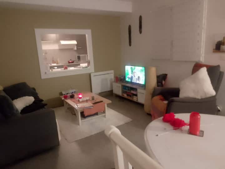 Appartements Bien Situé Zénith Hippodrome De Pau - Pau